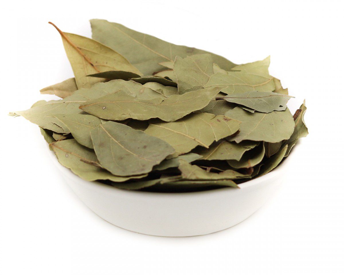 Laurel Hojas - Casa Terra